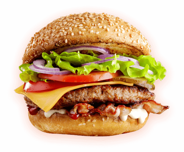 HUNY HUNY FOR FRIED CHICKEN & BURGER